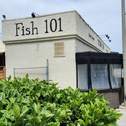 FISH 101 - Updated December 2025 - 1166 Photos & 1513 Reviews - 1468 N ...