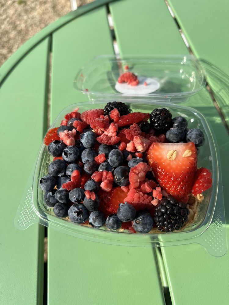 SMOOTH MONKEY - Updated October 2025 - 94 Photos & 85 Reviews - 1801 ...