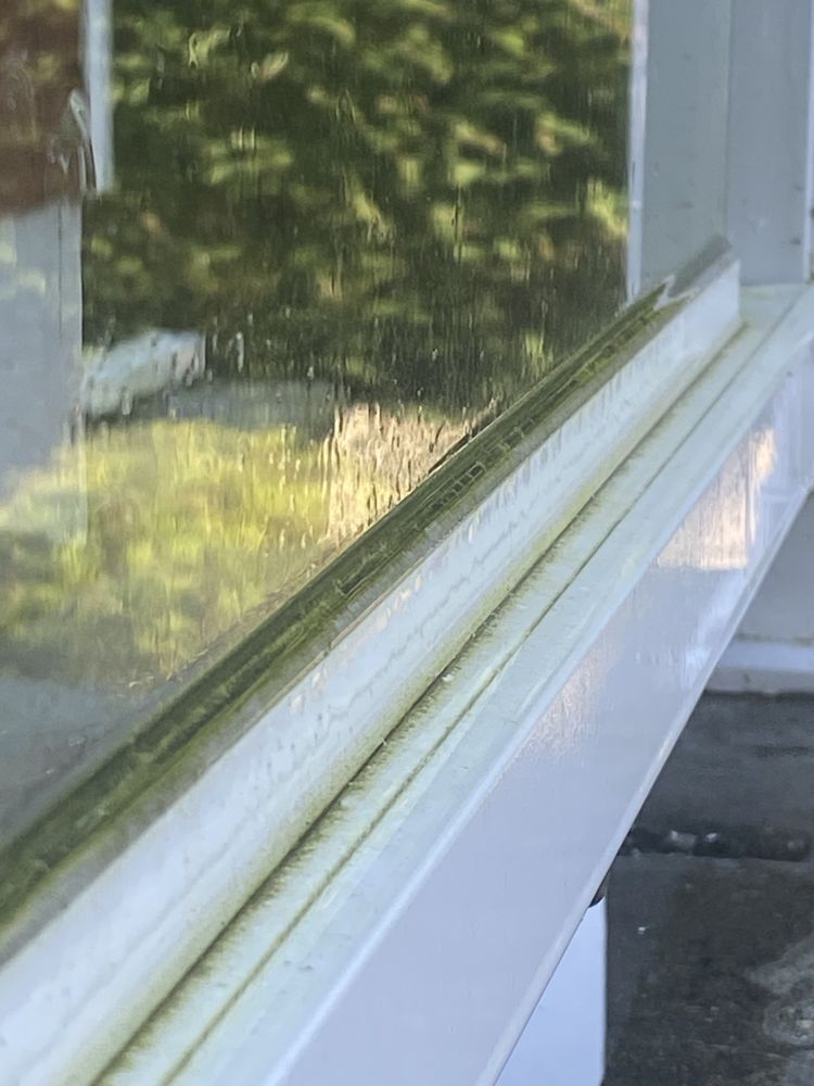 MASS CLEAN - Updated December 2025 - Request a Quote - Hawkesbury ...