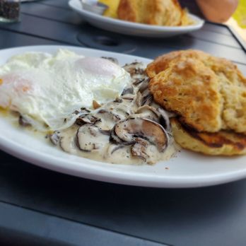 COLOSSAL CAFE - Updated December 2025 - 326 Photos & 398 Reviews - 2315 ...