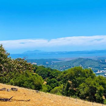MT. BURDELL OPEN SPACE PRESERVE - Updated January 2026 - 167 Photos ...