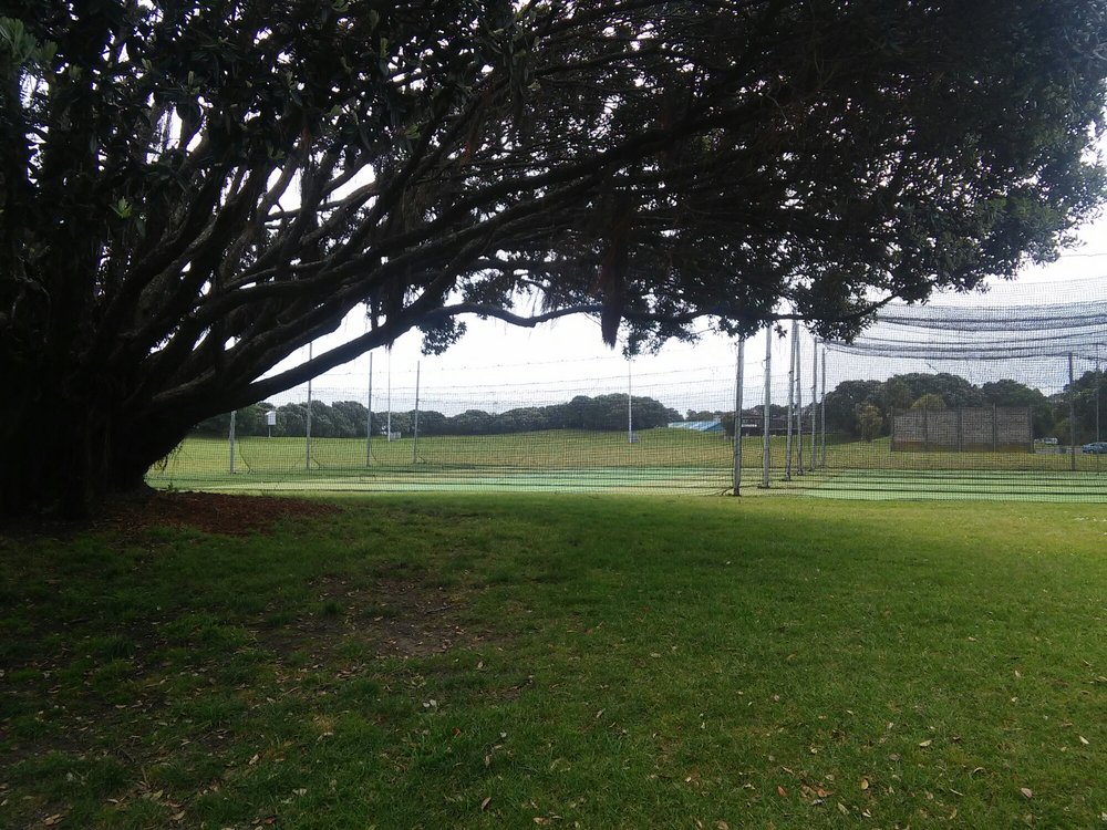 COLIN MAIDEN PARK - Merton Rd, Auckland, New Zealand - Yelp