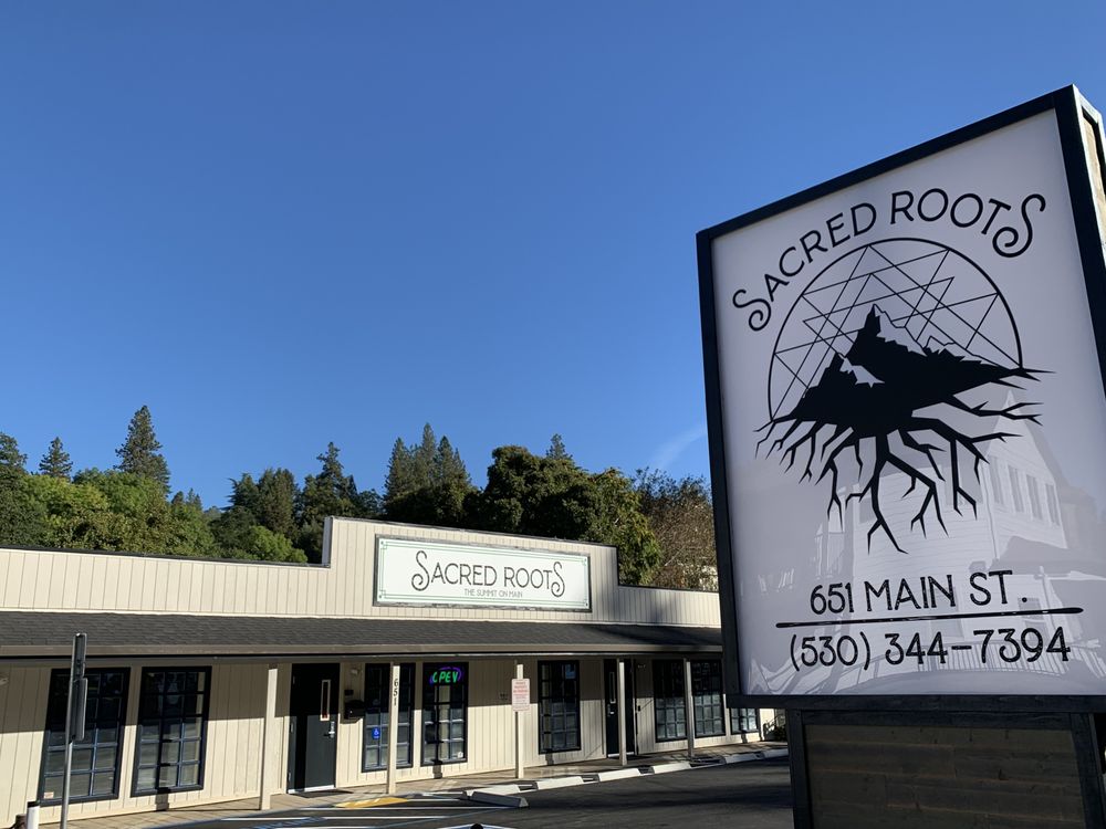 SACRED ROOTS - Updated October 2025 - 11 Reviews - 651 Main St ...