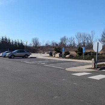 CRICKET CAR HOP - Updated August 2025 - 79 Photos & 81 Reviews - 900 ...