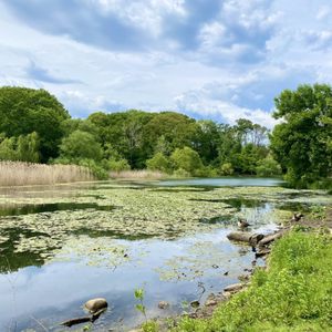 ALLEY POND ADVENTURE COURSE - Updated February 2025 - 14 Photos & 13 ...