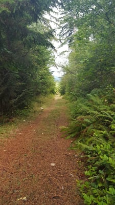 PACK FOREST FALL TRAIL - 10 Photos - 9708-10128 453rd St E, Eatonville ...