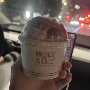 HOLY ROLY ICE CREAM - Updated August 2024 - 995 Photos & 663 Reviews ...