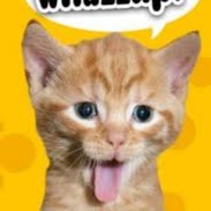 THE HAUNT AT WILDCLIFF MANSION - Updated October 2025 - 44 Wildcliff Rd ...