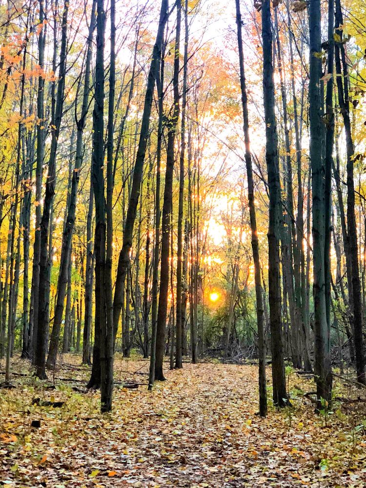 CARPENTER LAKE NATURE PRESERVE - 133 Photos & 35 Reviews - Hiking - 10 ...