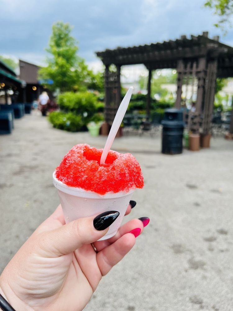 TROPICAL MOOSE SHAVED ICE - Updated August 2025 - 25 Photos & 33 ...