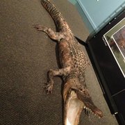 SEWEE VISITOR AND ENVIRONMENTAL EDUCATION CENTER - 19 Photos - Zoos ...