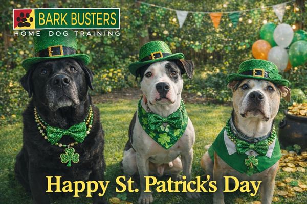 BARK BUSTERS HOME DOG TRAINING SOUTHERN NEW ENGLAND - Updated June 2026 ...