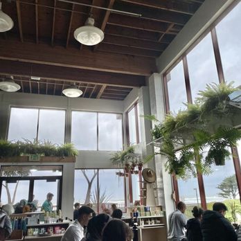 ANDYTOWN COFFEE ROASTERS - Updated July 2024 - 242 Photos & 103 Reviews ...