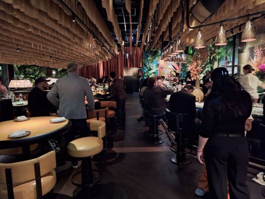 Photo of Crying Tiger - Chicago, IL, US.