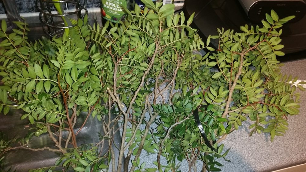 MISS DAISY FLORIST - Updated May 2024 - Artane Castle Shopping Centre ...