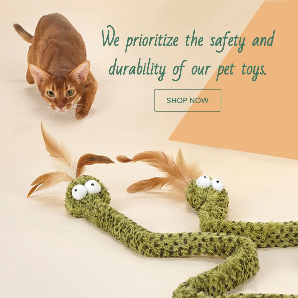 PAWSITIVE JOY - Dallas, Texas - Pet Sitting - Phone Number - Yelp