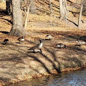 SBB COMMUNITY MANAGEMENT - Updated November 2025 - 17 Photos & 62 ...