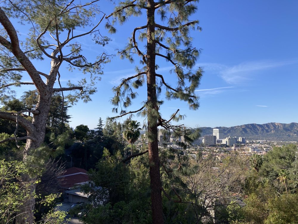 STOTT’S TREE SERVICE - Updated December 2025 - 17 Photos & 52 Reviews ...