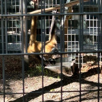 BEE CITY ZOO - Updated August 2025 - 396 Photos & 118 Reviews - 1066 ...