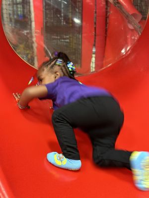 Wacky Tacky - Trusted Since 2016 - Updated July 2025 - 273 Photos - 439 ...