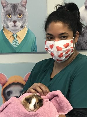 PORTLAND VETERINARY WELLNESS CENTER - Updated January 2026 - 39 Photos ...