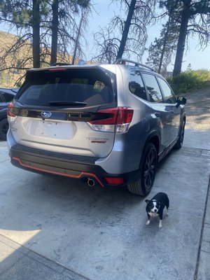 EASTSIDE SUBARU - Updated April 2025 - 68 Photos & 383 Reviews - 11803 ...