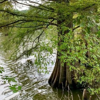 STUMPY LAKE NATURAL AREA - Updated October 2025 - 248 Photos & 20 ...