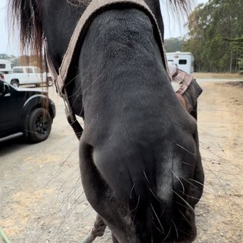 FIVE BROOKS RANCH - Updated December 2025 - 236 Photos & 396 Reviews ...