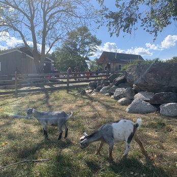 BUTTERNUT FARM - Updated September 2025 - 35 Photos & 34 Reviews - 195 ...