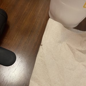 SUNSET INN & SUITES - Updated June 2025 - 58 Photos & 38 Reviews - 100 ...