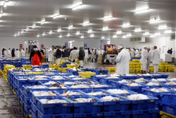 NEPTUNE FISH - Units 13 & 14 Unit Factory Estate, Hull, United Kingdom ...