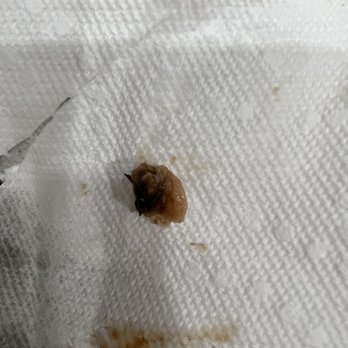 LAS BRISAS TAQUERIA - Updated October 2024 - 127 Photos & 271 Reviews ...