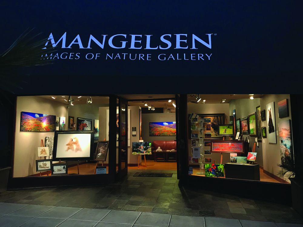 MANGELSEN - Updated May 2026 - 24 Photos & 14 Reviews - 7916 Girard Ave ...