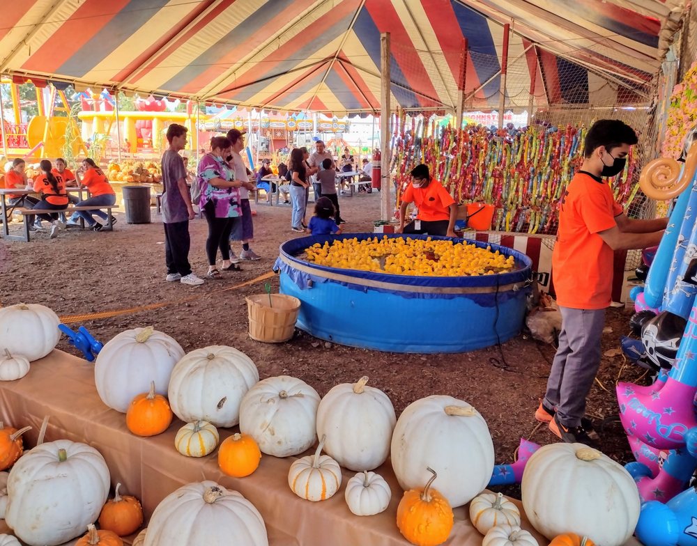 THE PUMPKIN FACTORY - 136 Photos & 76 Reviews - 1545 Circle City Dr ...