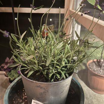 WALMART SUPERCENTER - Updated November 2025 - 14 Photos & 39 Reviews ...