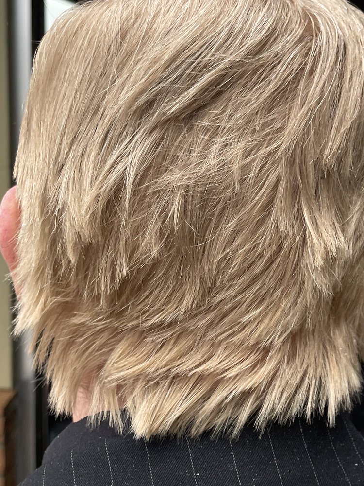 GREAT CLIPS - Updated May 2026 - 1687 E US Hwy 223, Adrian, Michigan ...
