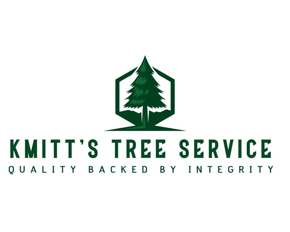 KMITT’S TREE SERVICE - Updated July 2025 - 68 Photos - Seville, Ohio ...
