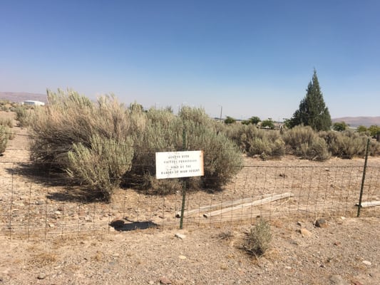 HIGH DESERT STATE PRISON - Updated October 2025 - 21 Photos - 475-750 ...