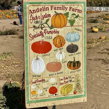 ANDELIN FAMILY FARM - Updated August 2025 - 527 Photos & 125 Reviews ...