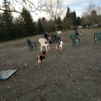 SILVERDALE DOG PARK - Updated November 2025 - 29 Photos & 21 Reviews ...
