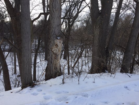 MANOMIN COUNTY PARK - Updated October 2025 - 201 Hartman Cir NE ...