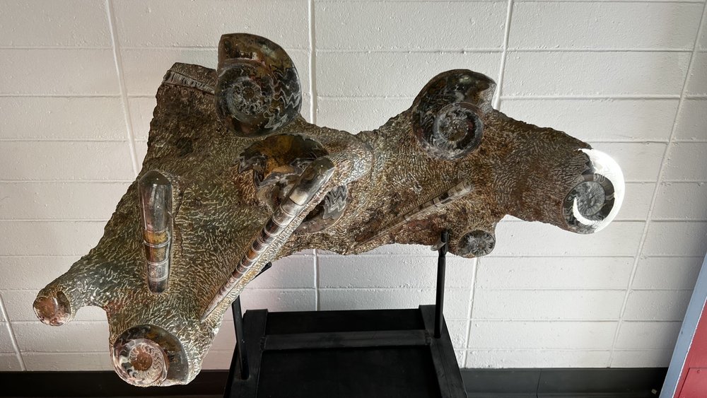 DAVID YOSHIDA, DC - YOSHIDA WELLNESS - Updated December 2025 - 25 ...