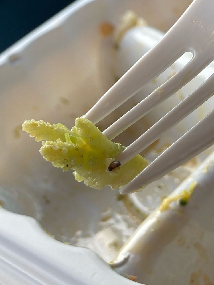 SUPER CHICKEN RICO - Updated September 2024 - 61 Photos & 34 Reviews ...