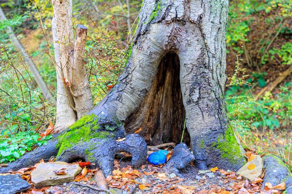 FALL RUN PARK - Updated July 2025 - 119 Photos & 25 Reviews - 187 Falls ...