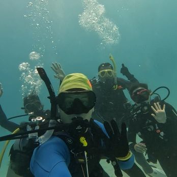 ISLAMORADA DIVE CENTER - Updated March 2025 - 86 Photos & 93 Reviews ...