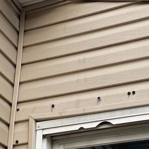 SELECT EXTERMINATING - Updated December 2025 - 59 Photos & 34 Reviews ...