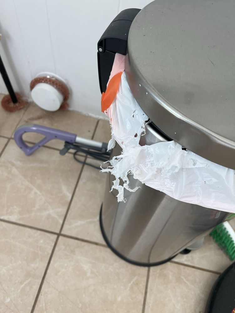 AEREX PEST CONTROL SERVICES - Updated October 2025 - 27 Photos & 91 ...