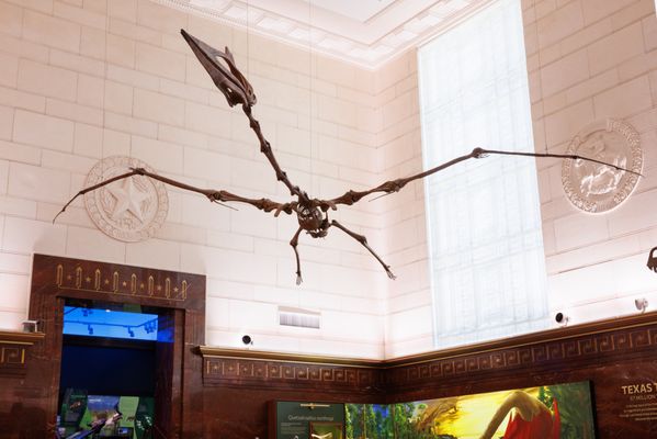 TEXAS SCIENCE & NATURAL HISTORY MUSEUM - Updated April 2025 - 149 ...