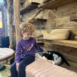 THE TIPSY TABBY - Updated July 2025 - 21 Photos & 19 Reviews - 90 Main ...