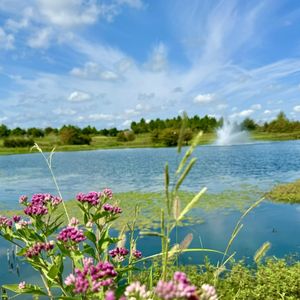 JONES CREEK RANCH PARK - Updated December 2025 - 16 Photos - 7714 Fm ...